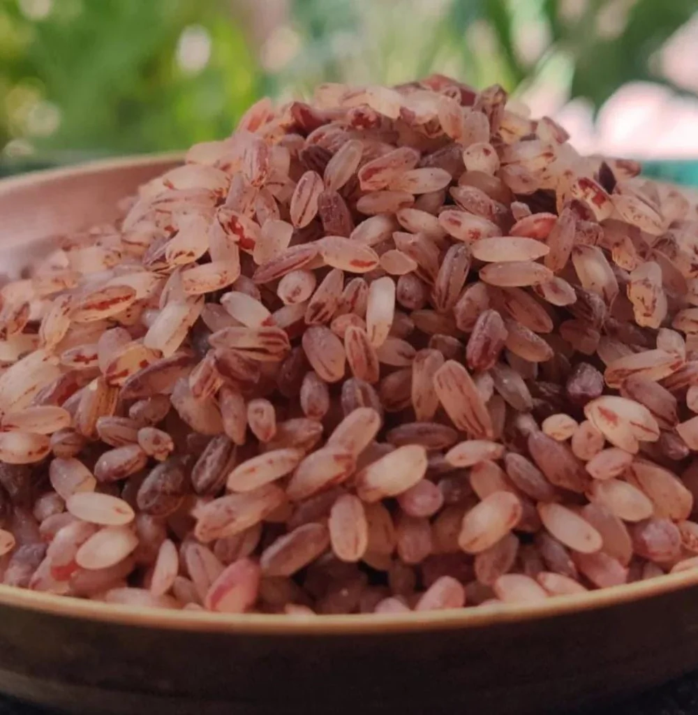 Kerala Nadan Matta Rice | Red Rice [Kutheri] (High Bran) | നാടൻ മട്ട ...